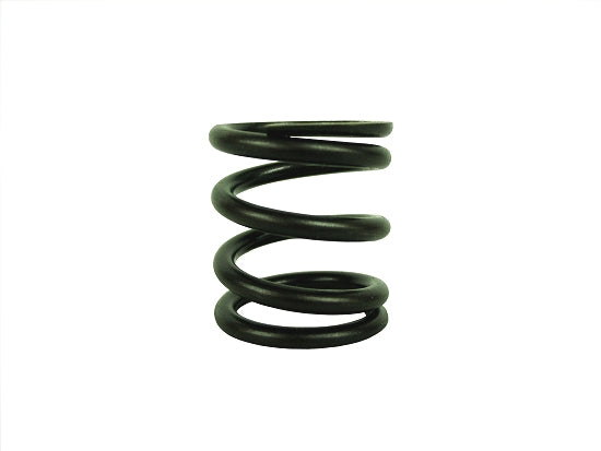 DAS Dyno High Tensile Valve Spring | Animal AN001 Cam for Restricted ...